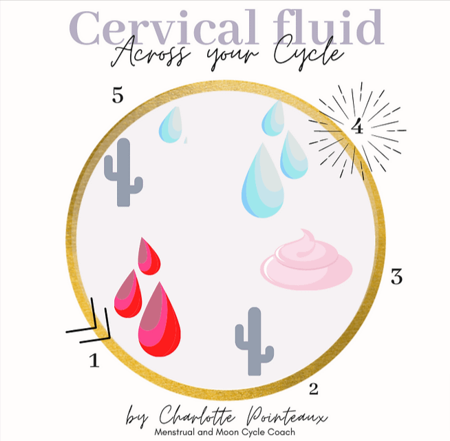 Five Things You Need to Know About Your Cervical Fluid - Charlotte ...